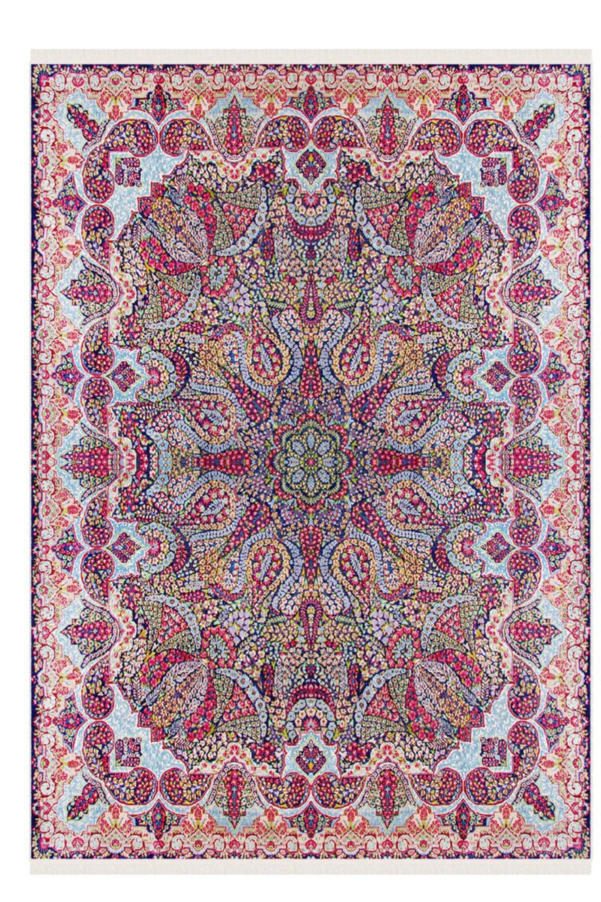 Bungalow Rose Sherene Cotton Indoor/Outdoor Area Rug | Wayfair