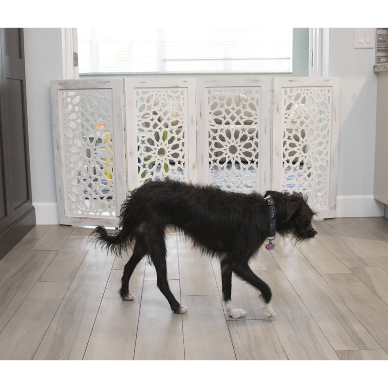 Tucker Murphy Pet™ Maleah Trellis Pet Gate | Wayfair