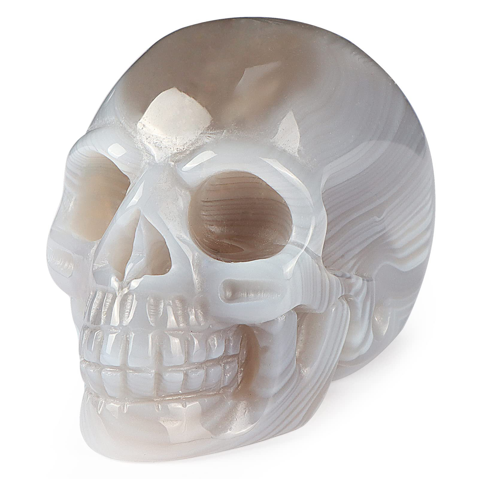 The Holiday Aisle® Human Skeleton Crystals Sculpture | Wayfair