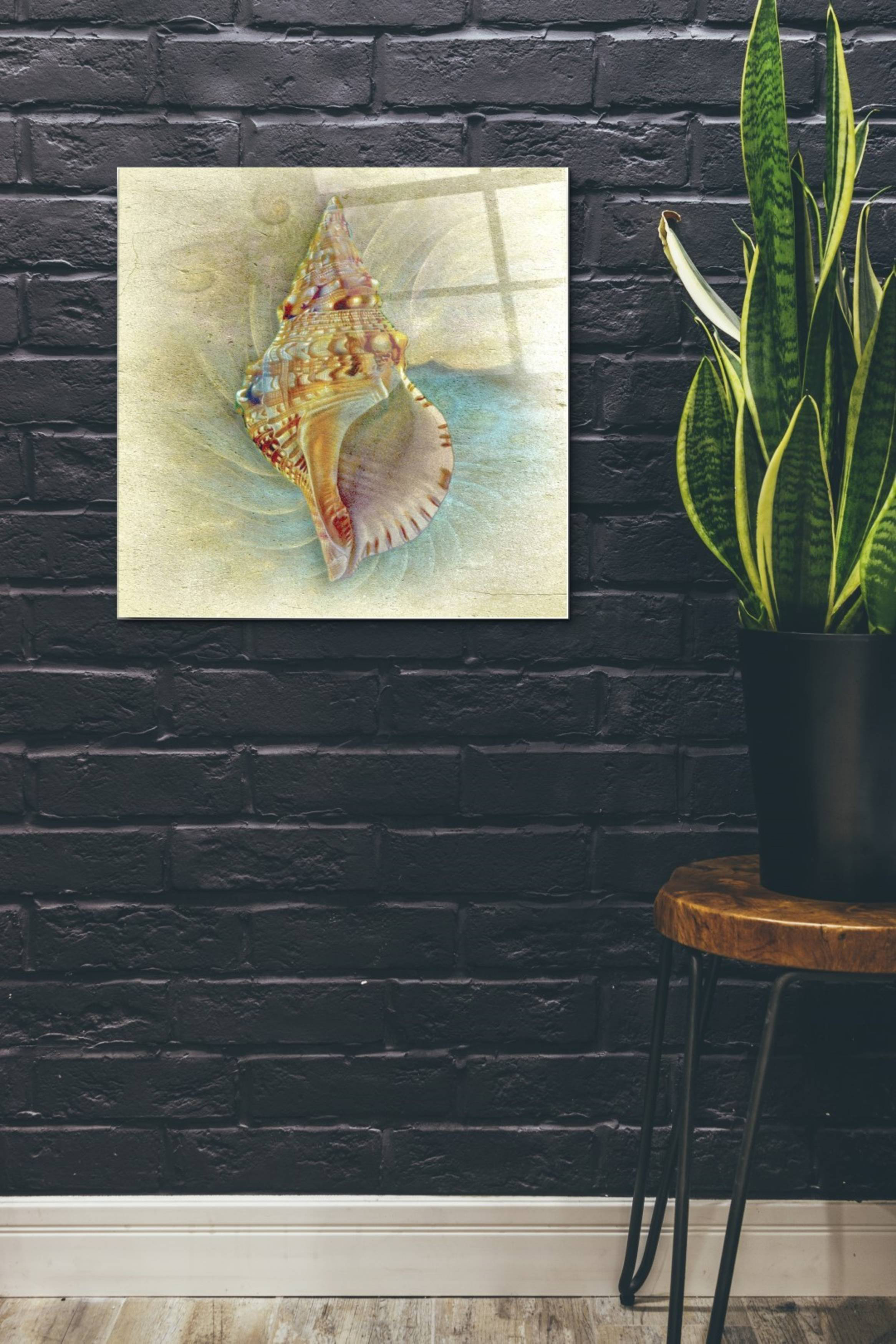 Beachcrest Home™ 'Aquatica I' by Steve Hunziker Acrylic Glass Wall Art ...