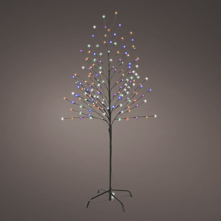 The Seasonal Aisle LED Indoor / Outdoor Lighted Trees & Branches ...