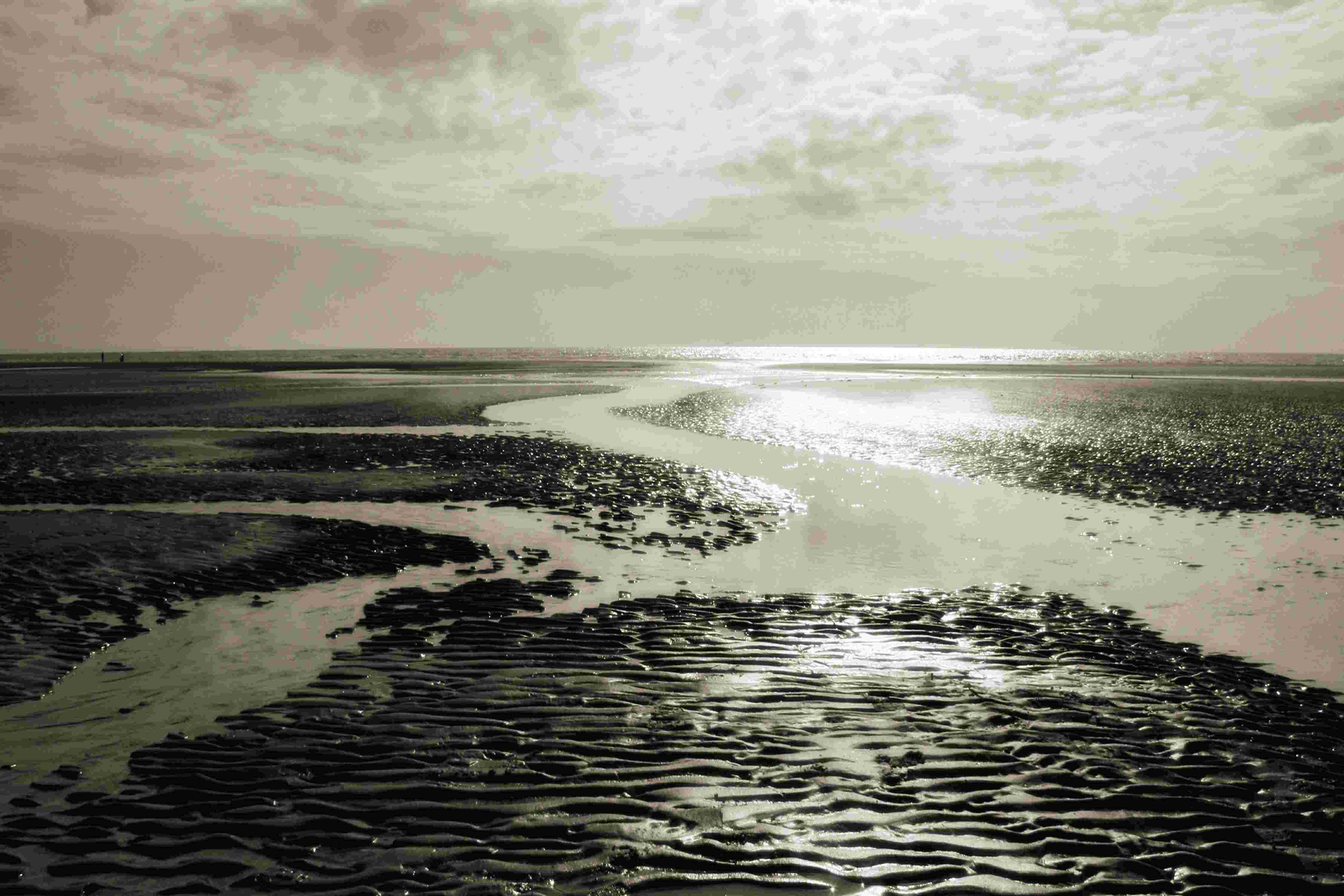 Rosecliff Heights Tidal Streams | Wayfair