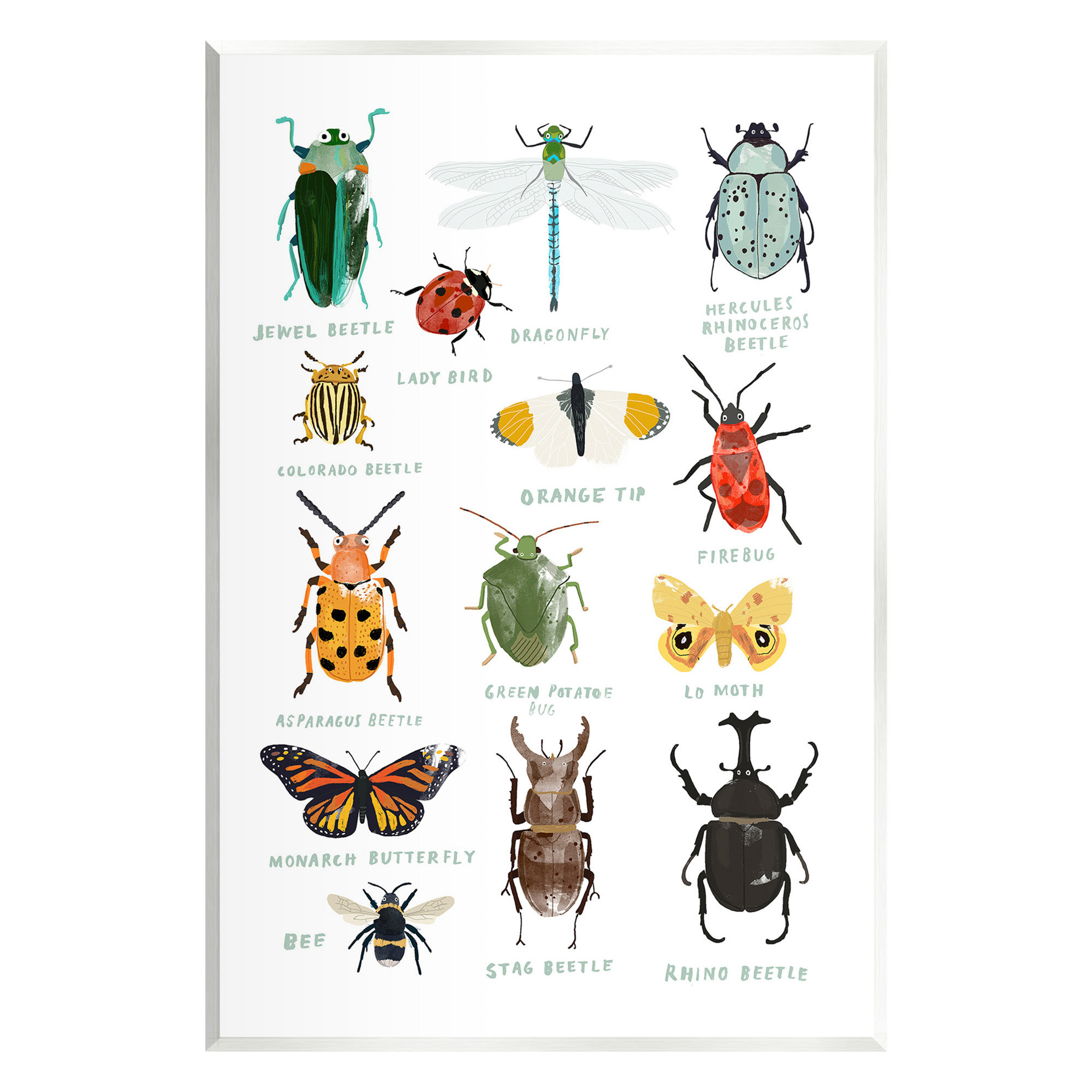 Ebern Designs Educational Bug Types Wall Plaque Art by Hanna Melin ...