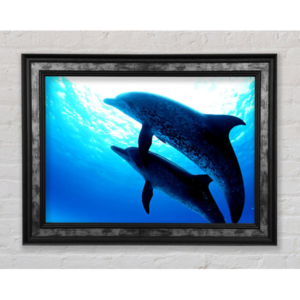 Bright Star Dolphins Under The Sea - Single Picture Frame Print ...