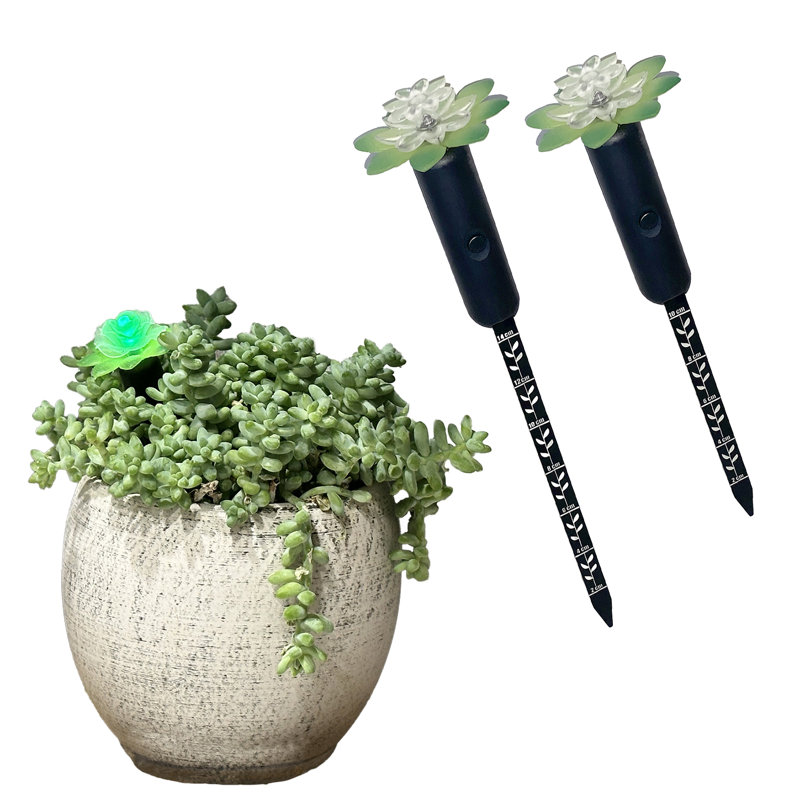 Arlmont & Co. Wicked Waterer Moisture Sensor Plant Alarm Kit Roshini ...