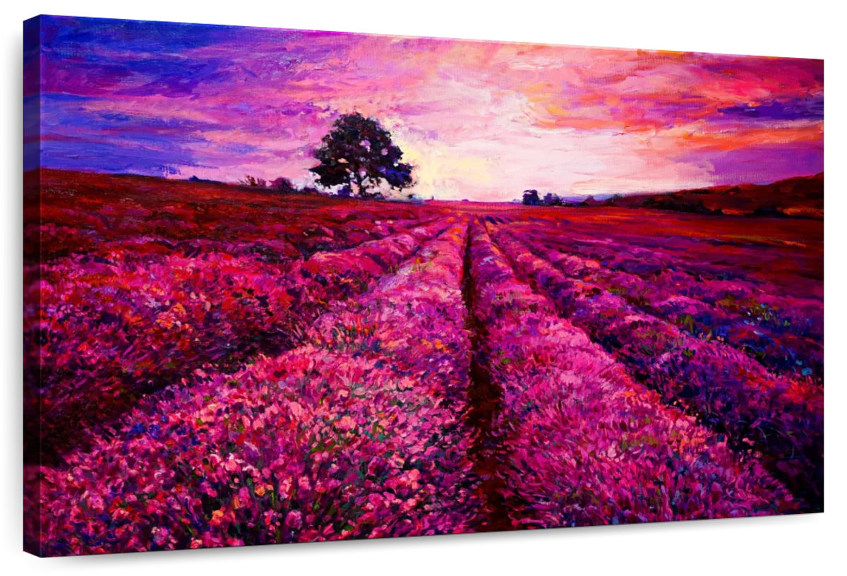 Ophelia & Co. Pink Lavender Field | Wayfair