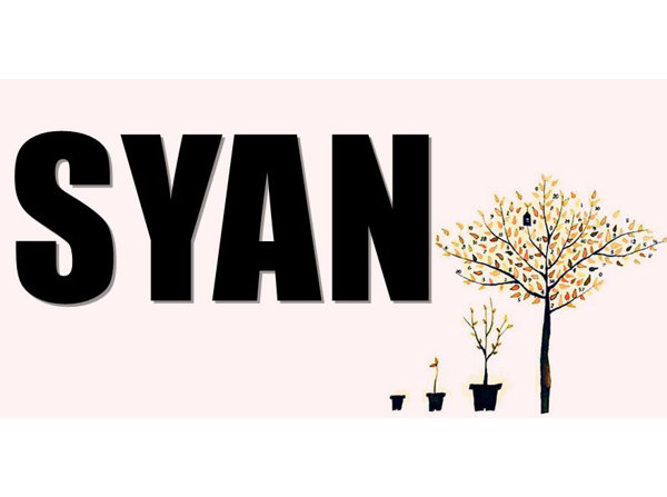 syan | Wayfair