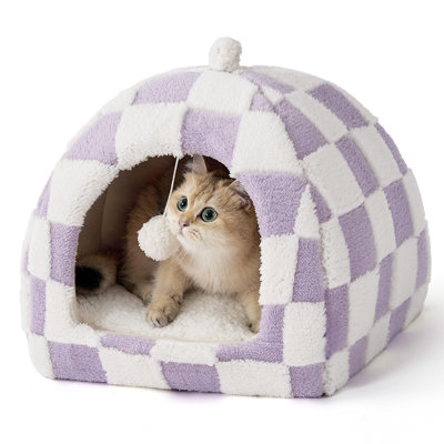 kitten tent