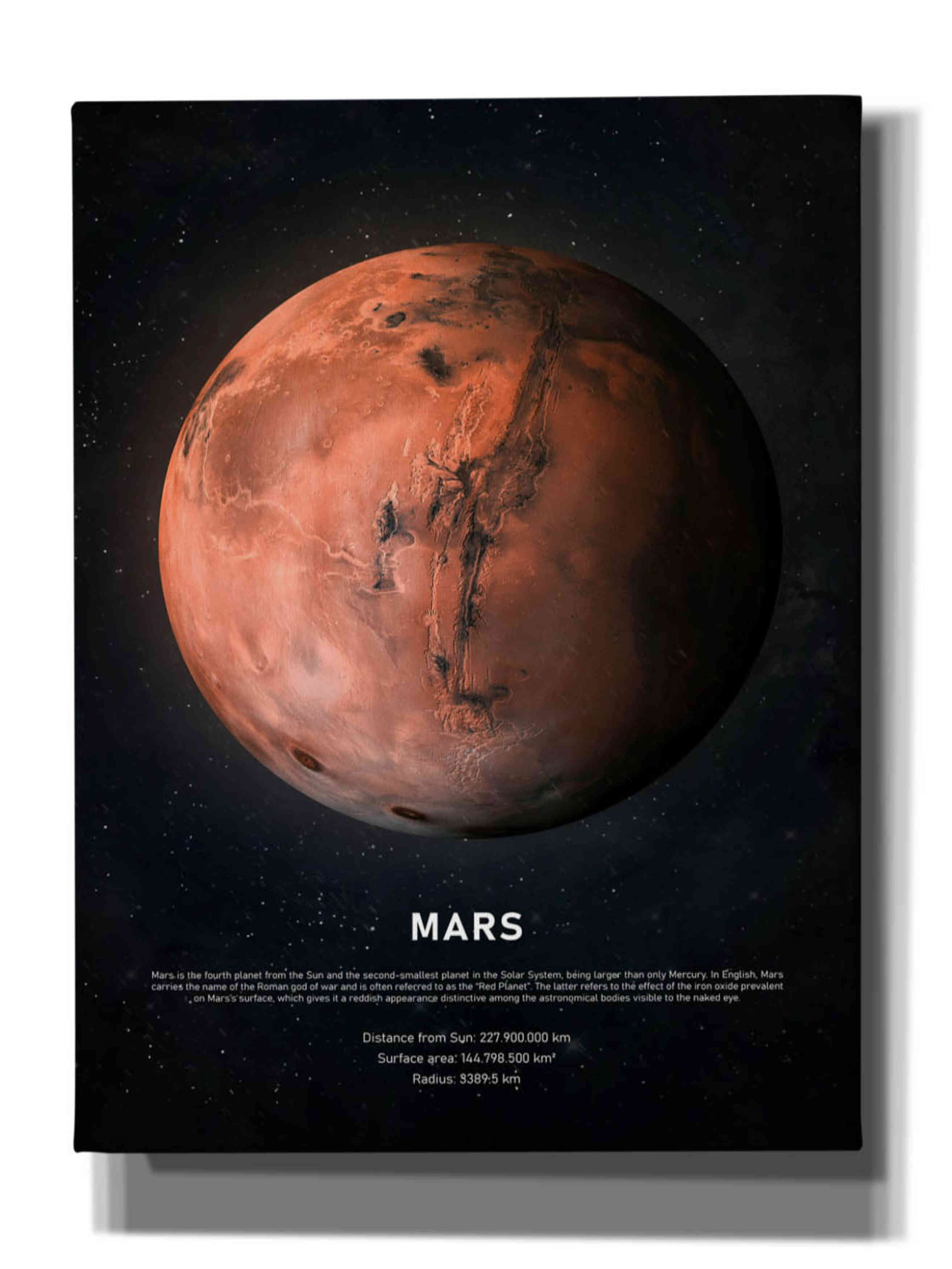 Hokku Designs Chellsie Mars by Design Fabrikken - Wrapped Canvas Print ...