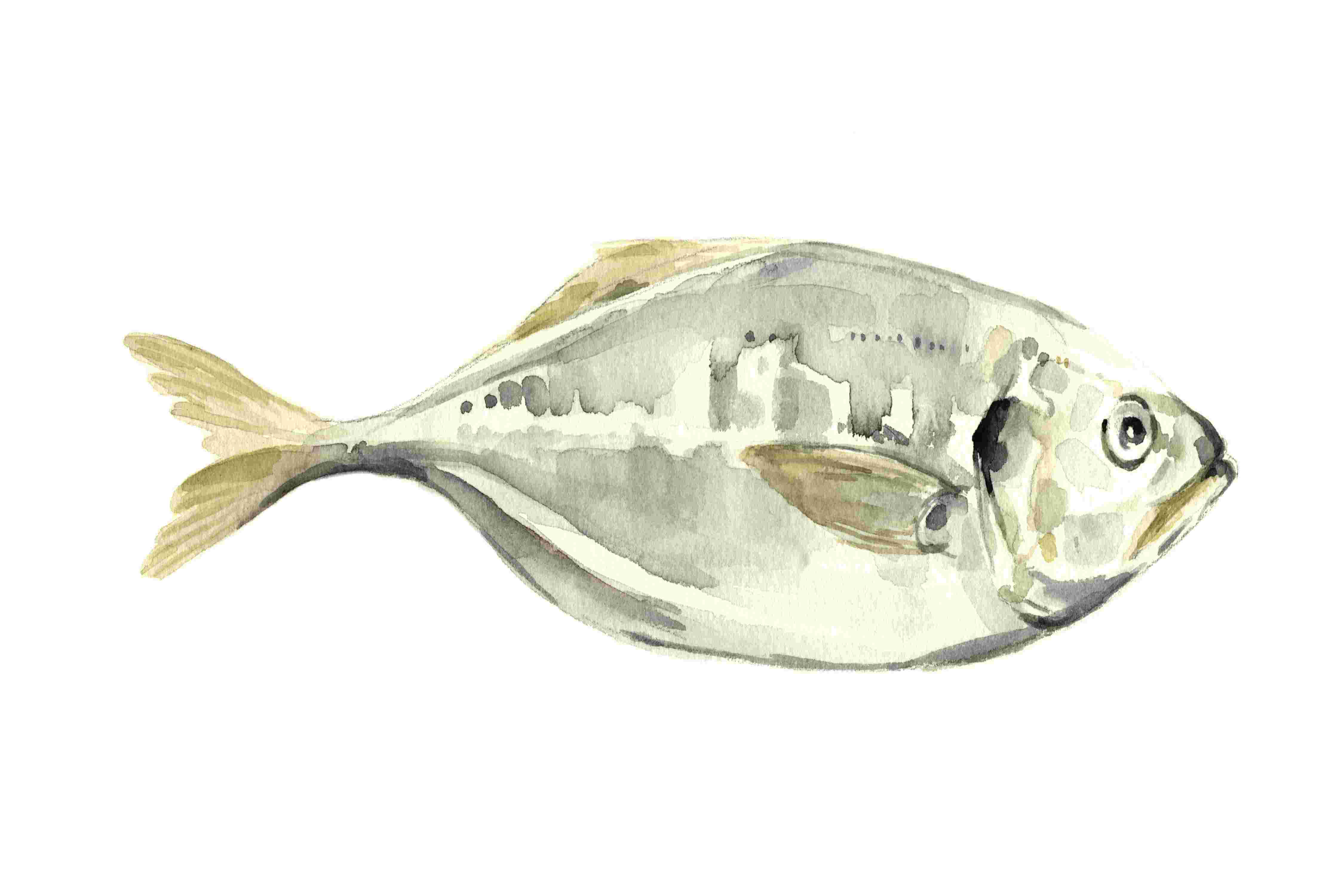 Highland Dunes Silver Fish III - Wayfair Canada