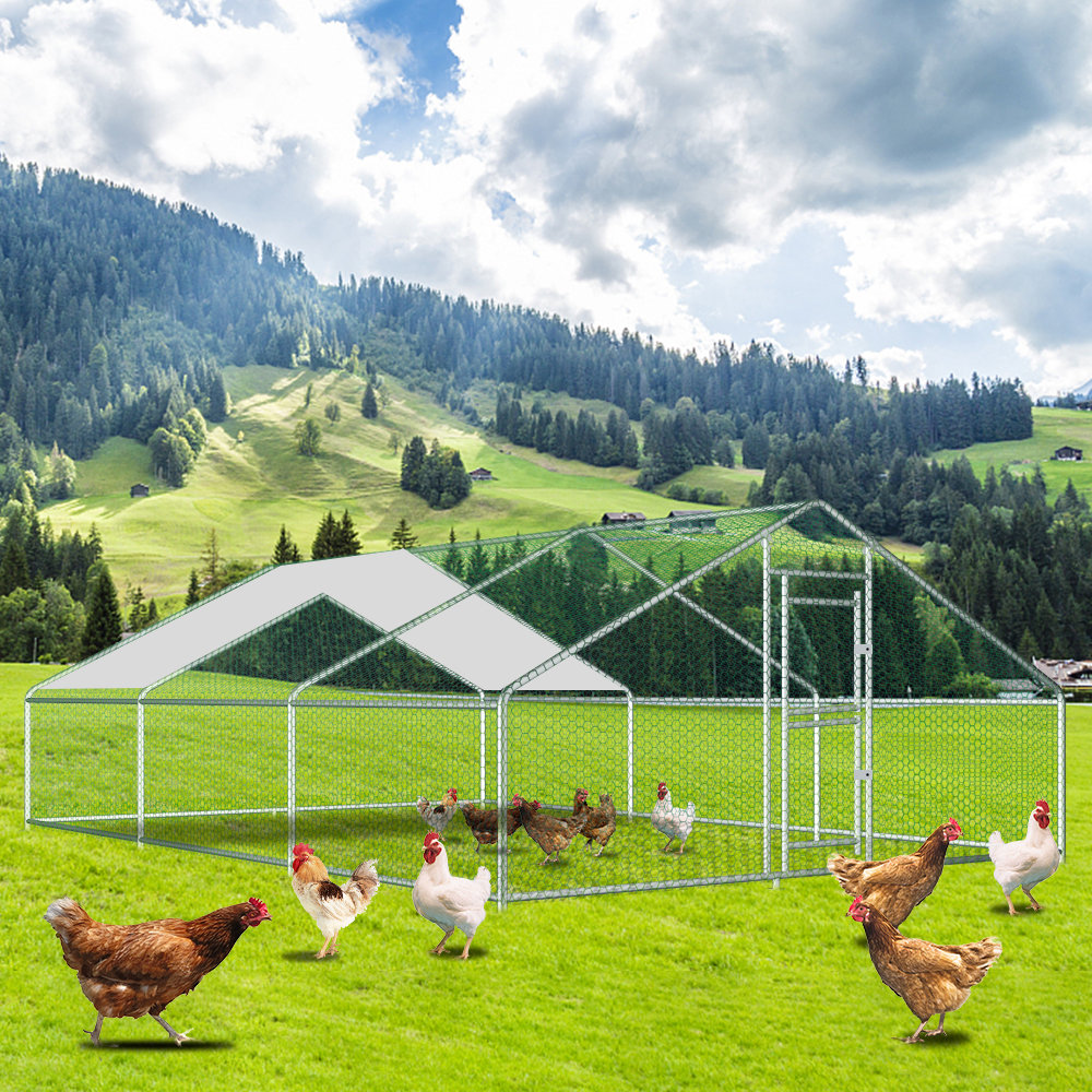 Archie & Oscar™ Maidenhead 193.75 Square Feet Chicken Run - Wayfair Canada