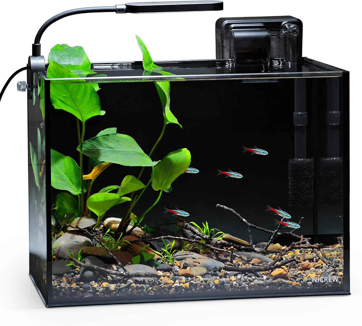 Ivy Bronx 2.5 Gallon Nano Nature Aquarium Kit, Ultra-Clear Rimless Desktop Fish Tank with Light ...