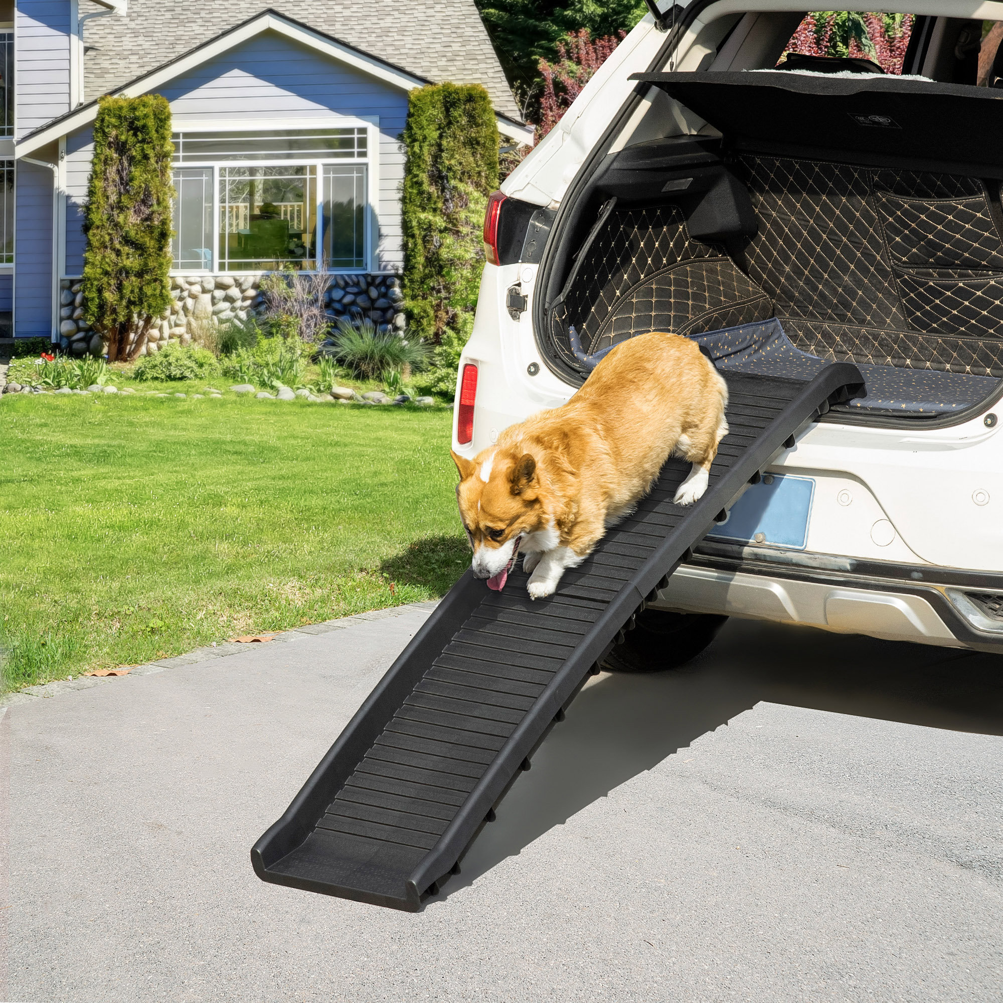 Pawhut Collapsible Ramp | Wayfair.co.uk