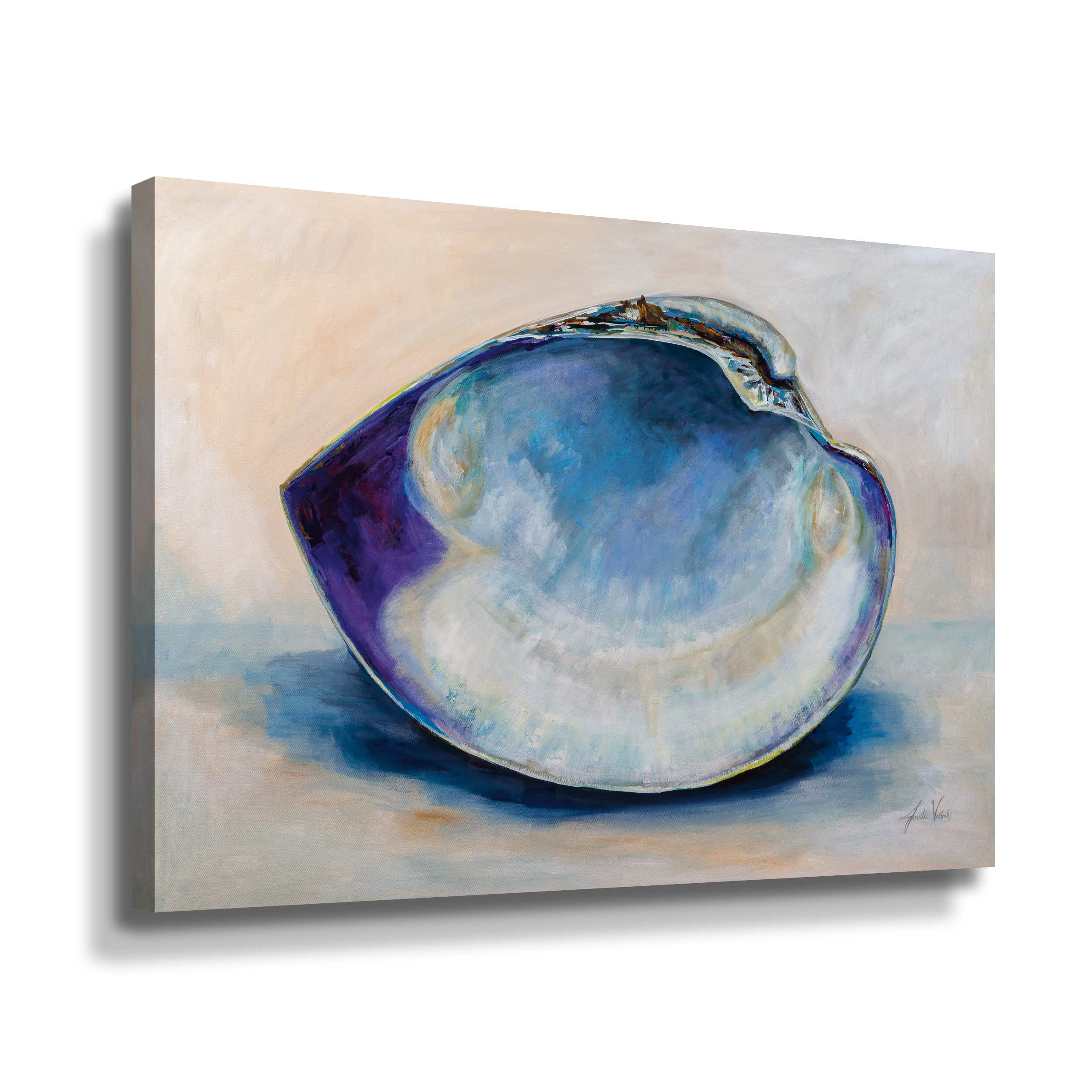 Highland Dunes Quahog Shell Gallery Wrapped Canvas | Wayfair