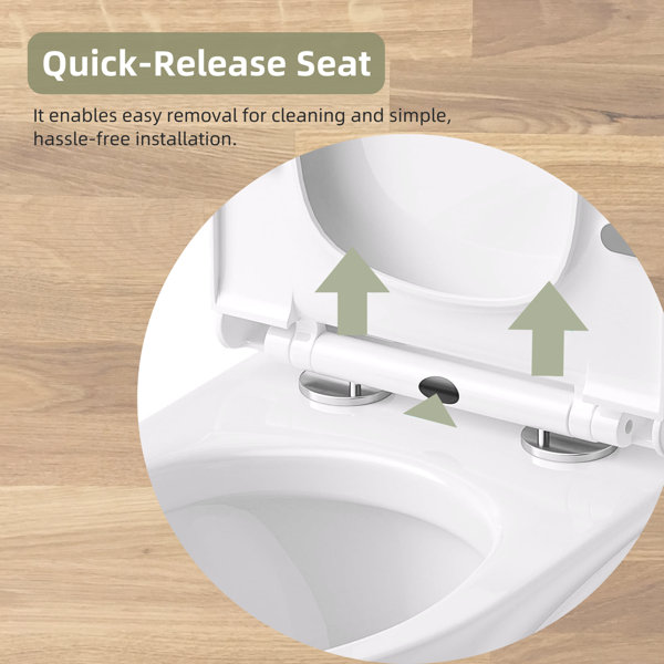 MaceratingFlo 18-Inch ADA Tall Rear Outlet Toilet, Elongated Bowl with ...