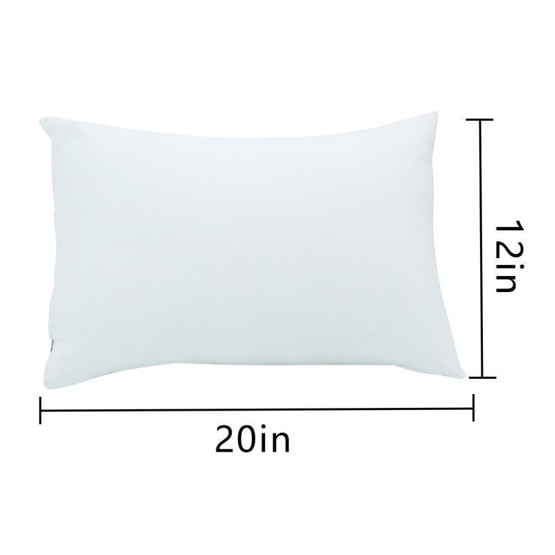 Bibana Rectangular Pillow Insert & Reviews | Wayfair