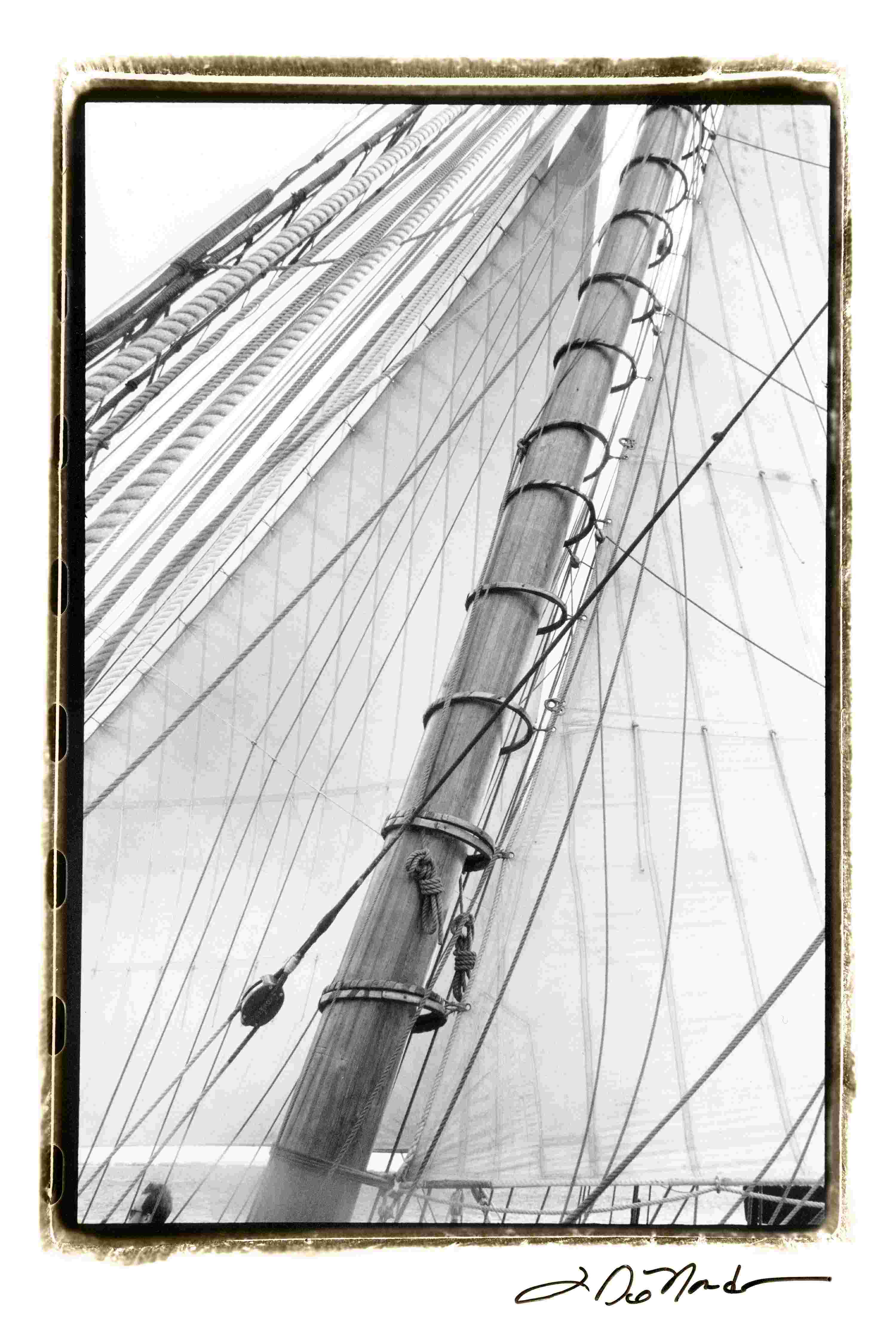 Longshore Tides Set Sail VI - Wayfair Canada