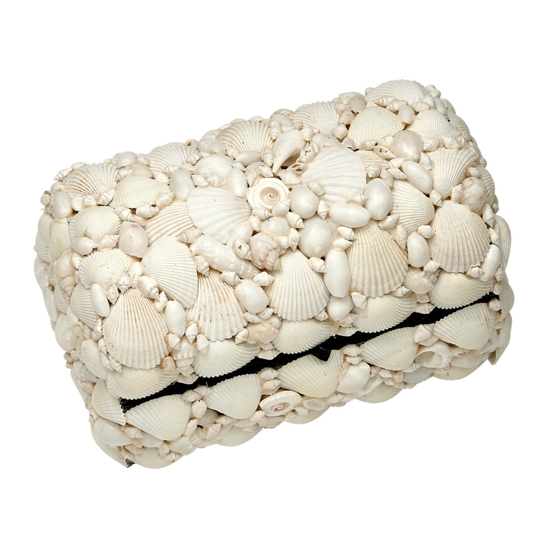 Highland Dunes Decorative Seashell Treasure Box | Wayfair