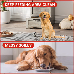 Archie & Oscar™ Pet Food Cabinet,Dog Feeding Station With 2 Elevated ...