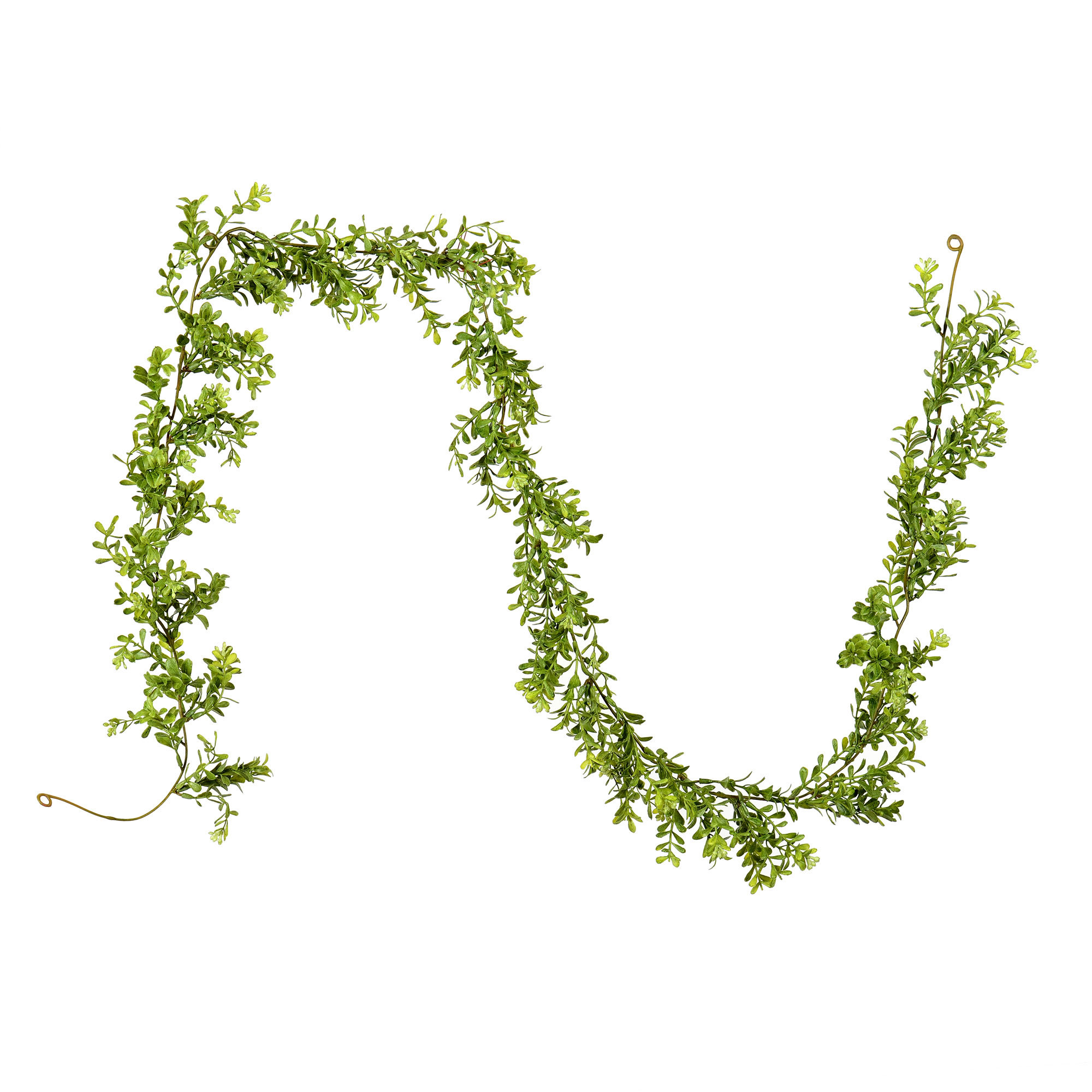 Gracie Oaks 6' Boxwood Garland & Reviews | Wayfair