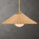 Birch Lane™ Vonetta 1 - Light Cone Pendant | Wayfair