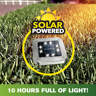 Bell + Howell Solar Powered Stainless Steel Outdoor Integrated Led ...