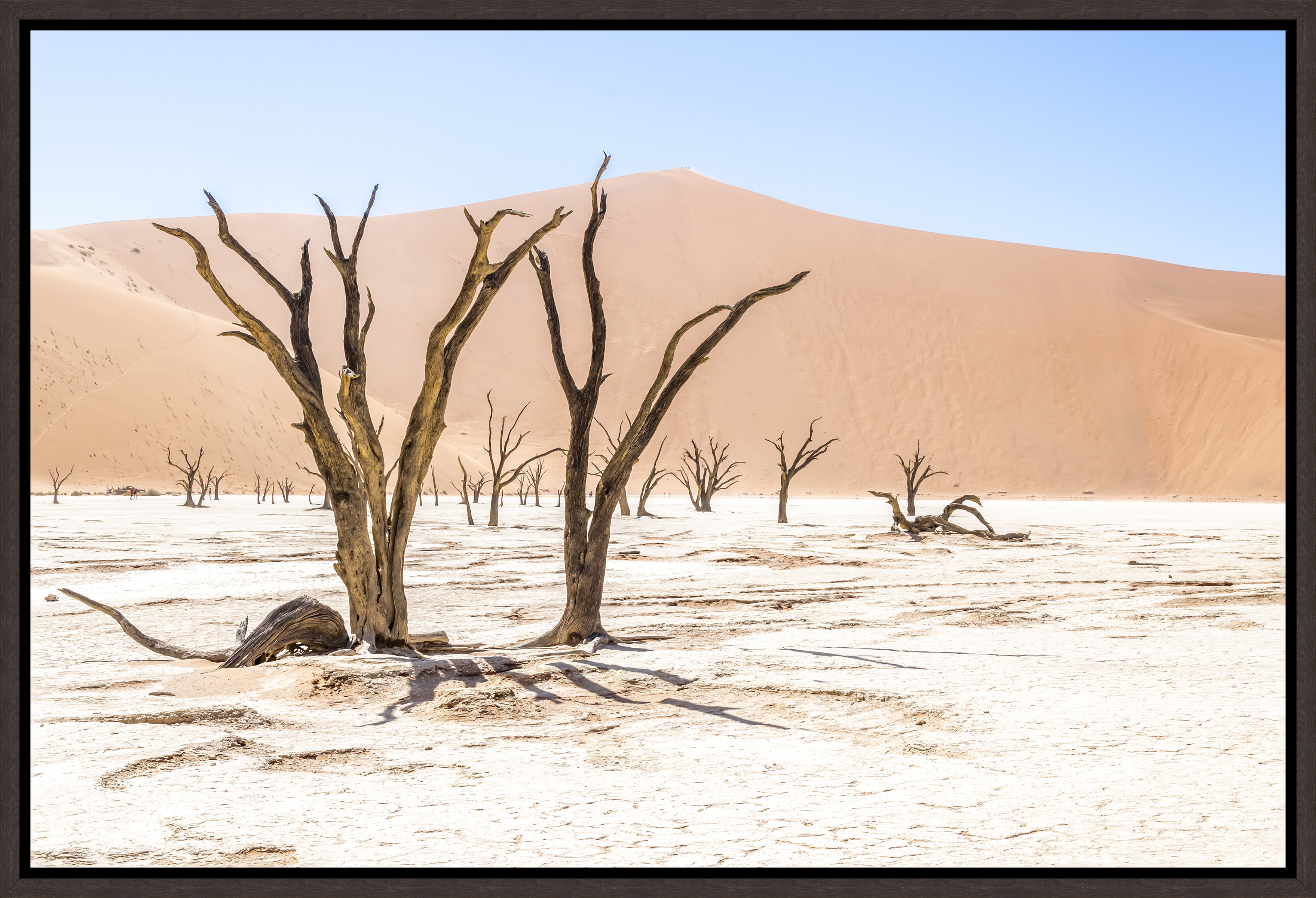 Chelsea Art Studio Namibian Skeleton Trees VIII by Richard Silver ...