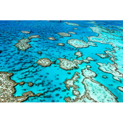 Winston Porter Great Barrier Reef On Canvas by Edward Haylan Print ...