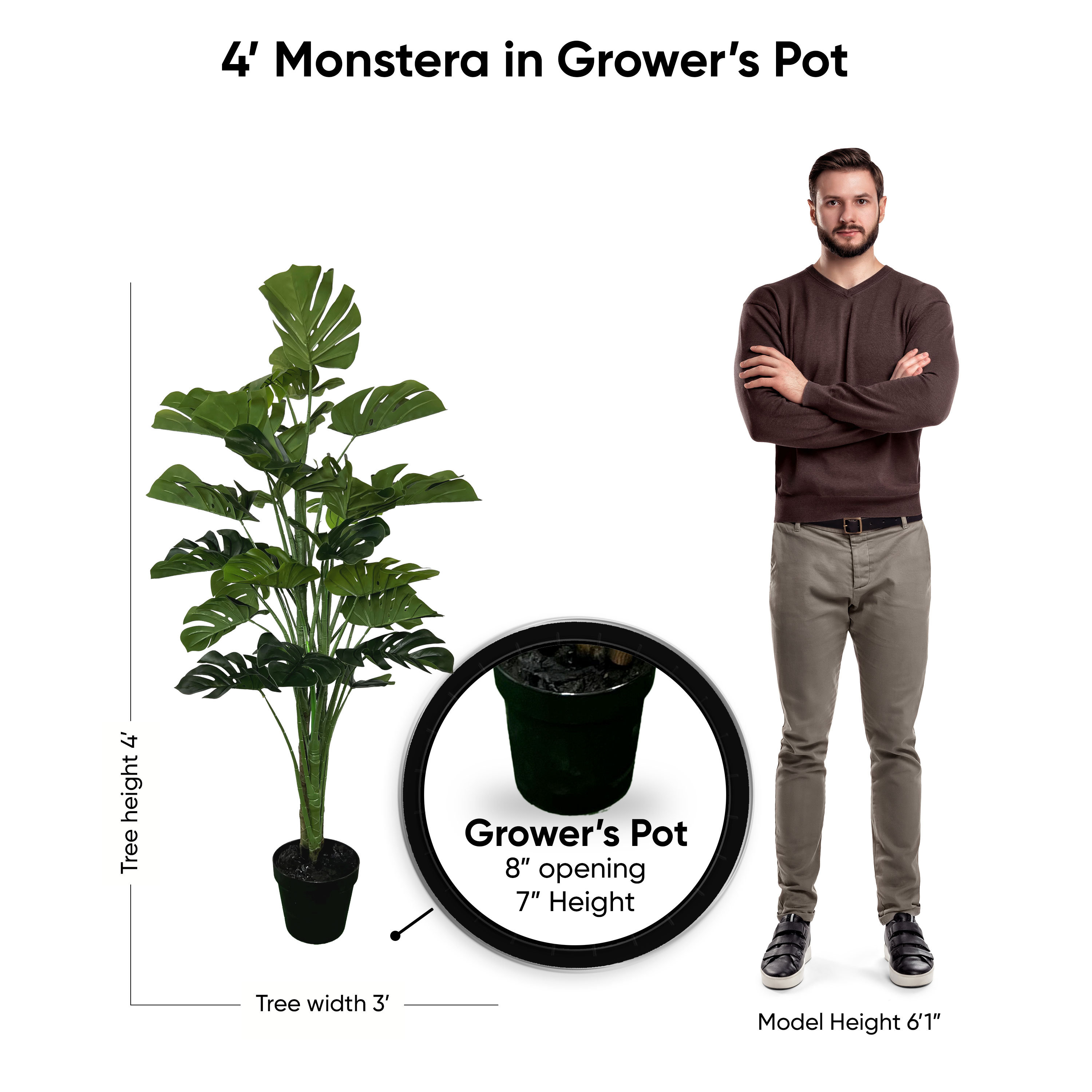 Cypress & Alabaster Hand-Made Cypress & Alabaster Tropical 4 ...