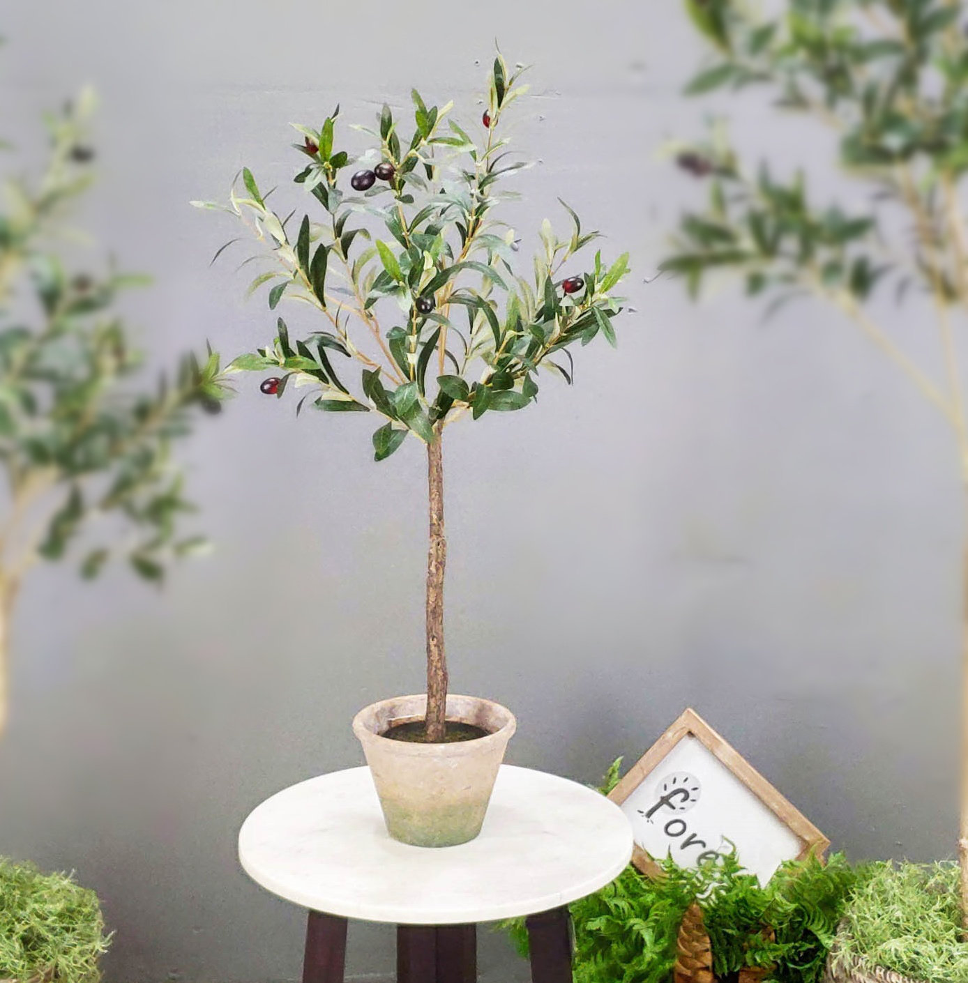Primrue Faux Olive Tree for table top - Wayfair Canada