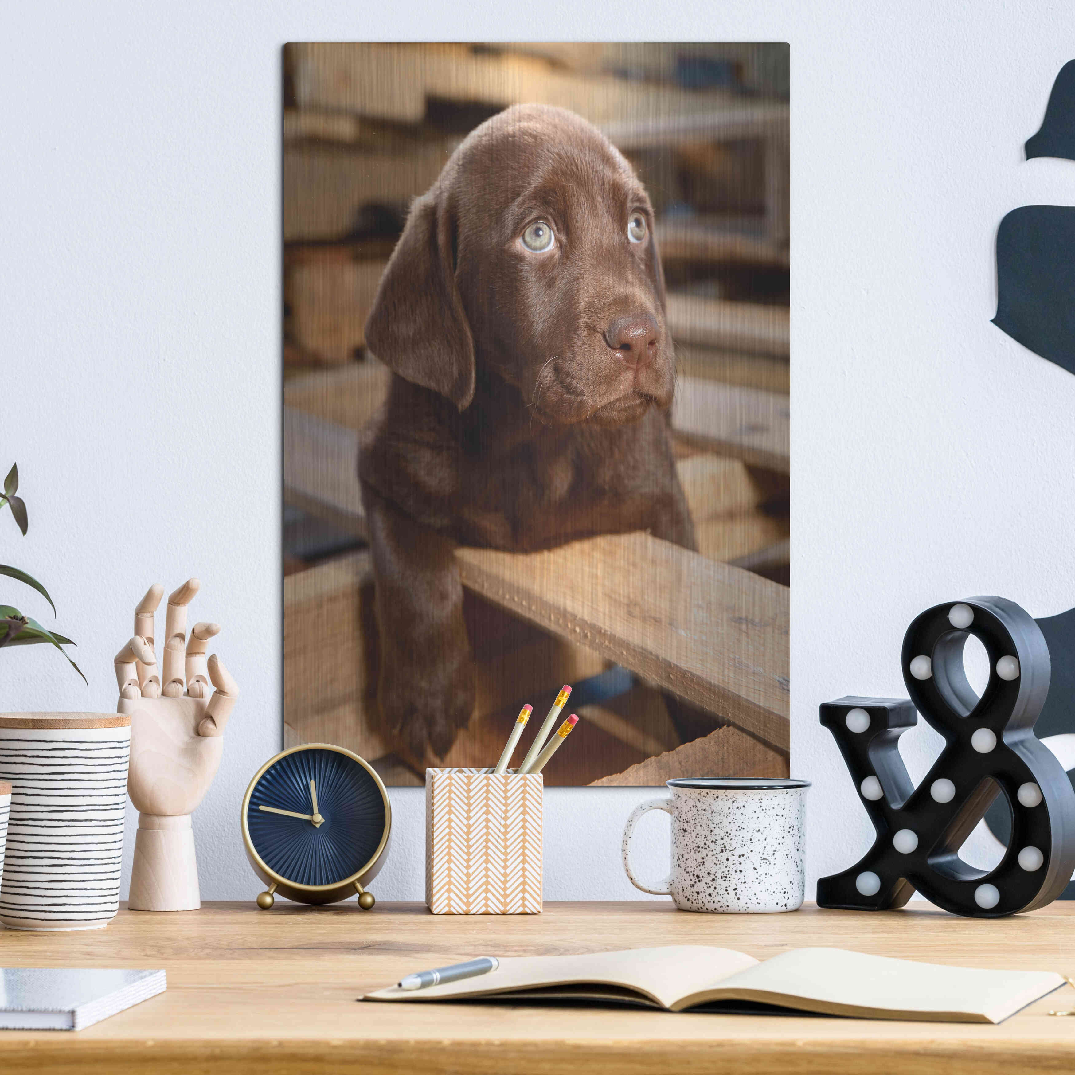 Red Barrel Studio Luxe Metal Art 'Bryce Puppy' By Mike Jones, Metal ...