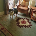 Millwood Pines Tyngsborough Hand Tufted Wool Southwestern Rug & Reviews ...