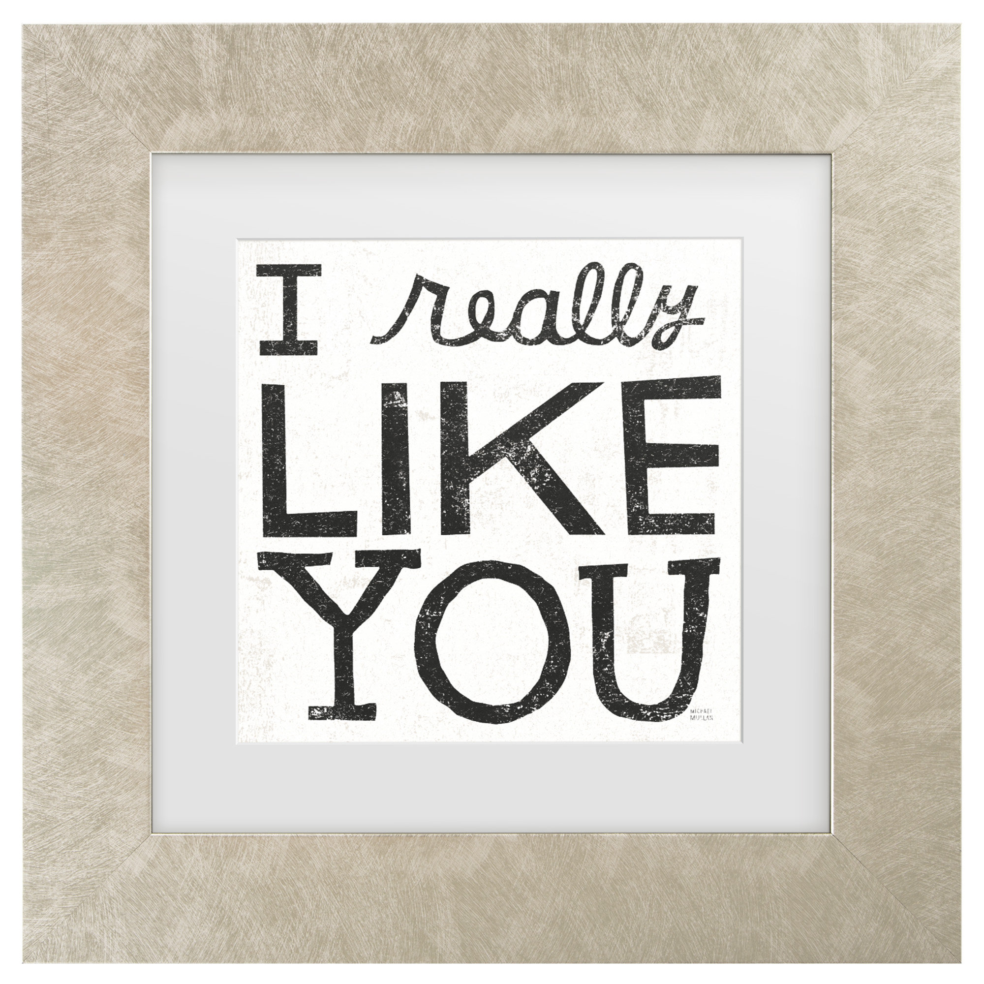 Trademark I Really Like You Black Framed On Canvas by Michael Mullan ...