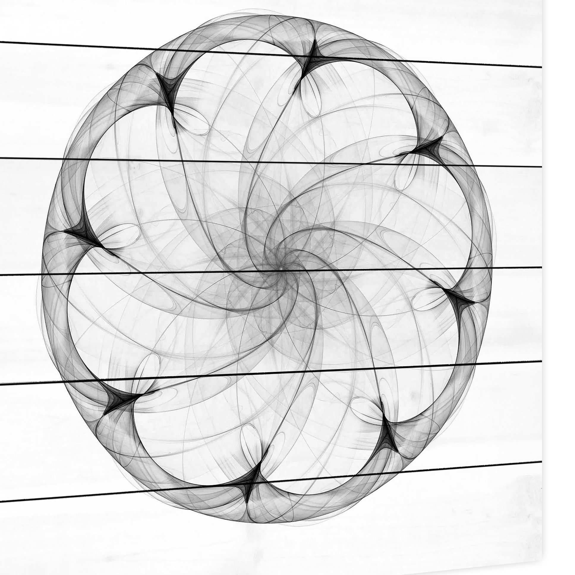 East Urban Home 'Flower Contained' Drawing Print on Wood | Wayfair.ie