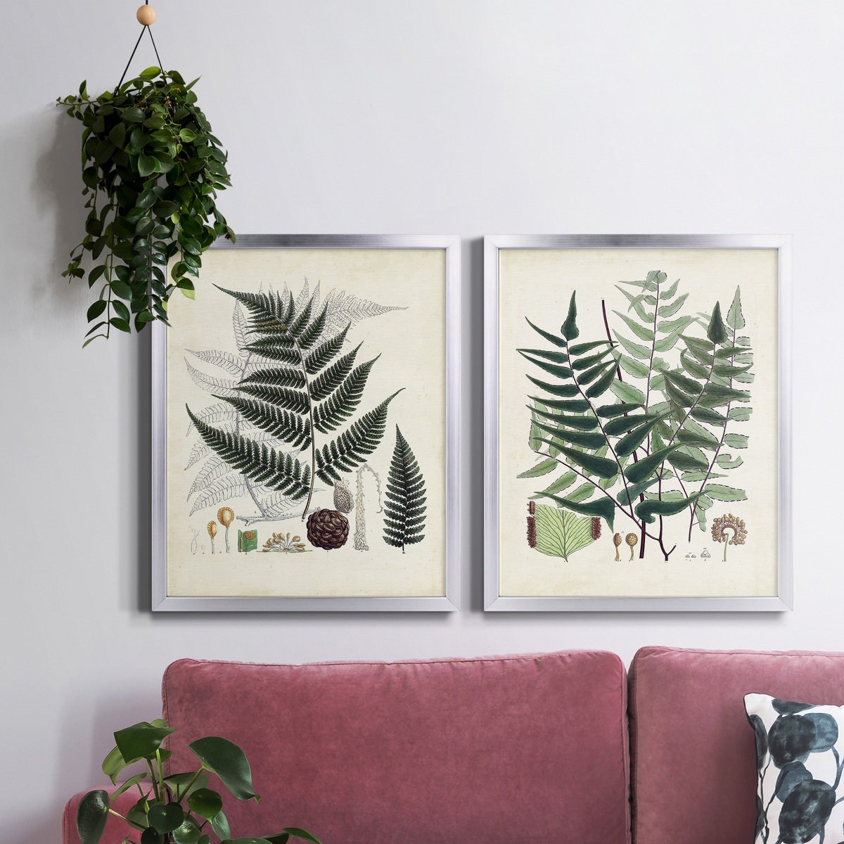 Rosalind Wheeler Collected Ferns VI - 2 Piece Picture Frame Print Set ...