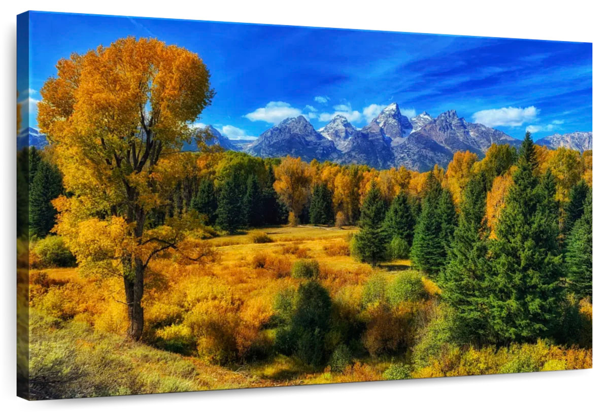 Millwood Pines Alvord Jackson Hole Wyoming In Autumn | Wayfair