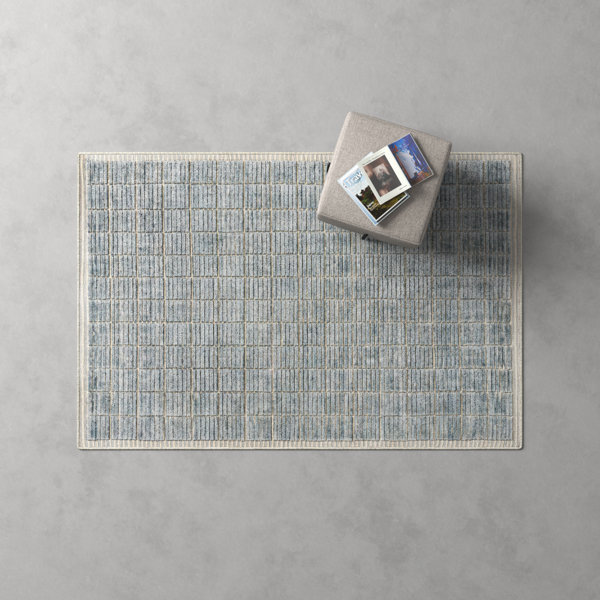 AllModern Jacey Handmade Hand Loomed Gray Rug & Reviews | Wayfair