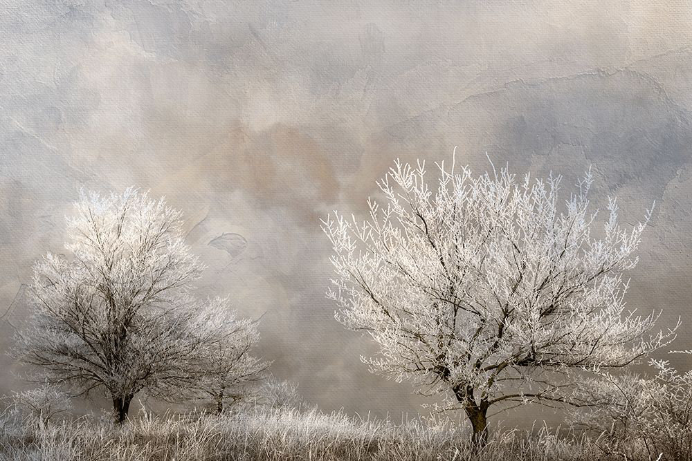 Red Barrel Studio® Winter Frost Poster Print By Allen Kimberly (24 X 18 ...
