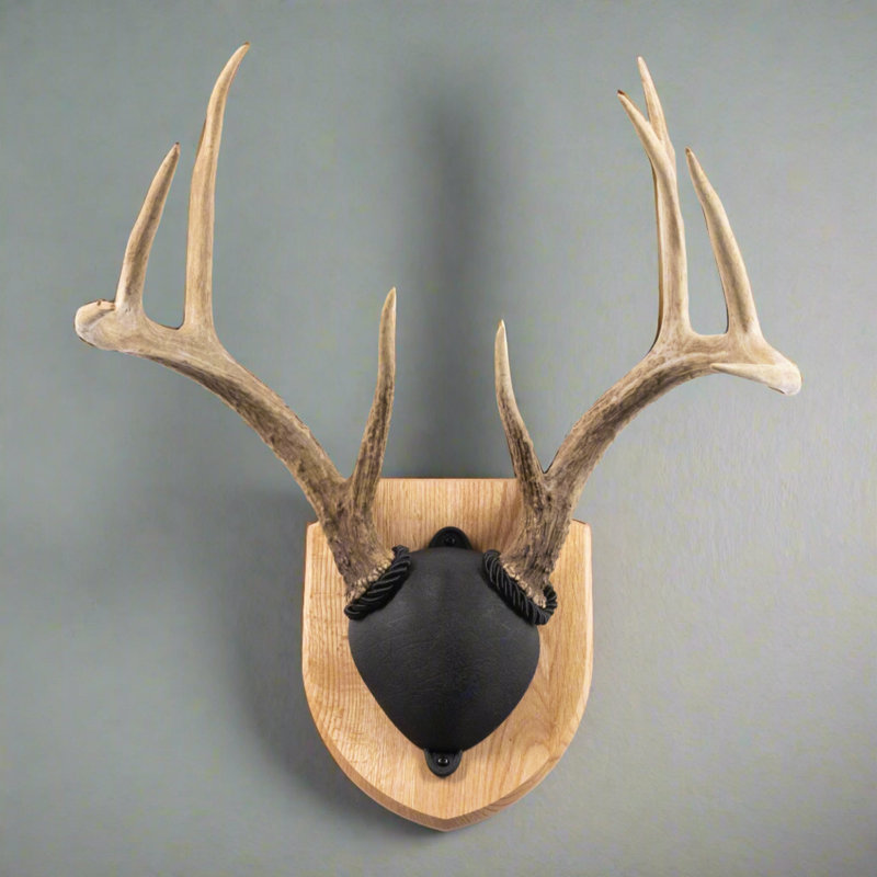 Walnut Hollow Solid Oak Antler Mount Kit | Wayfair