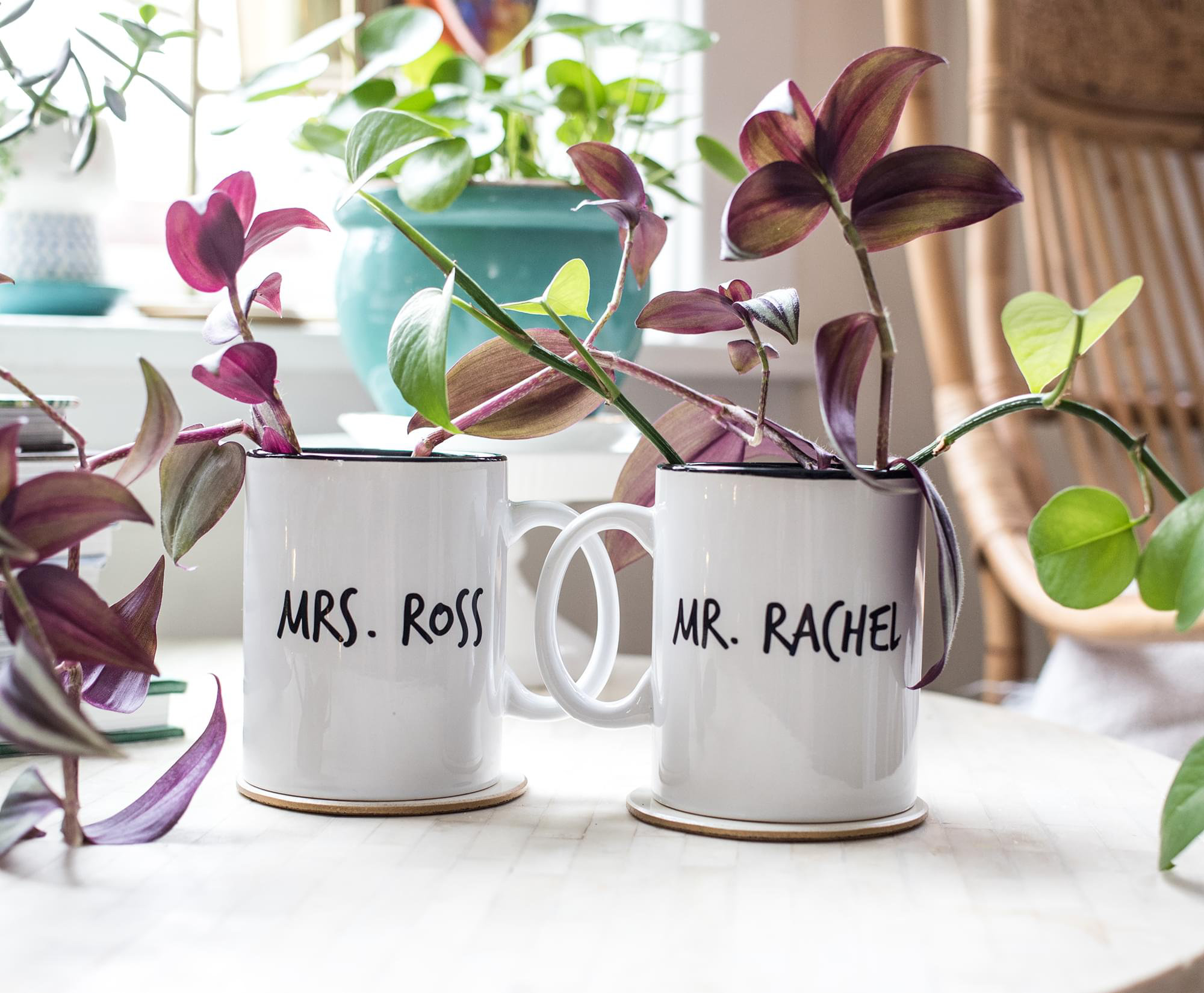 Latitude Run® Friends Mr. Rachel Whiskers And Mrs. Ross Moustache ...