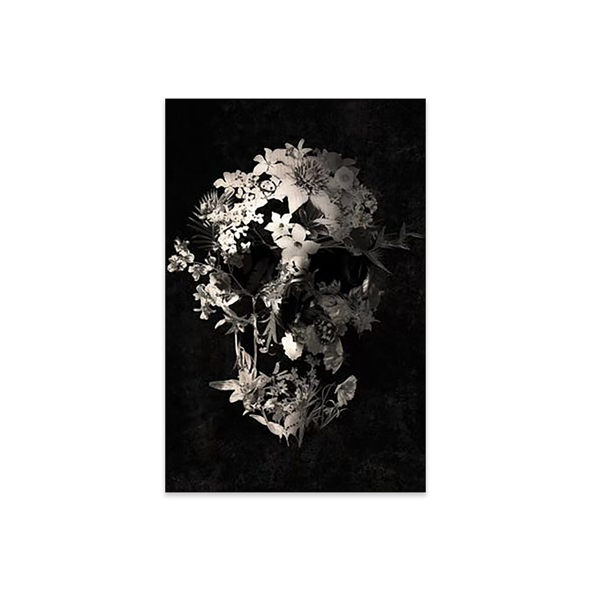 Trinx Spring Skull Print On Acrylic Glass | Wayfair