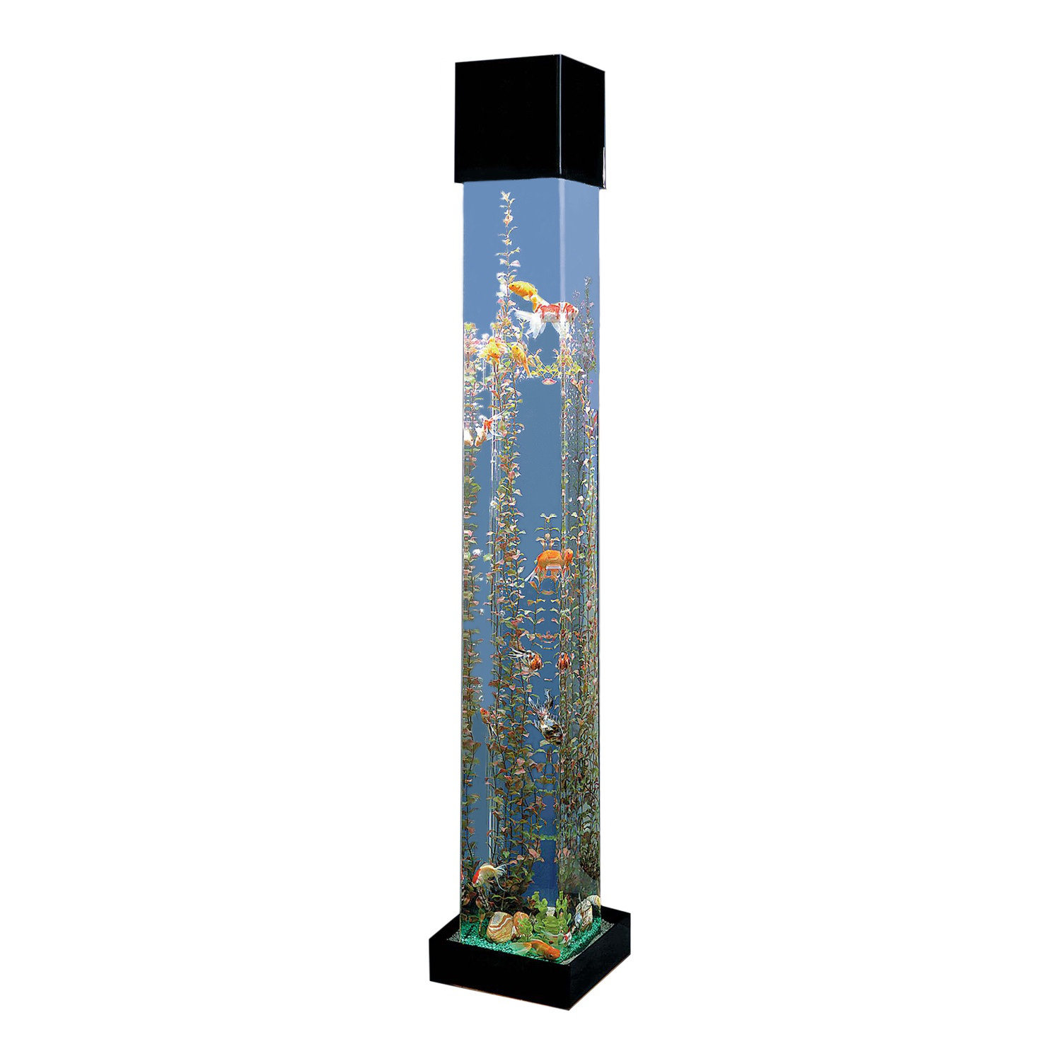 Tucker Murphy Pet™ 20 Gallon Square Aqua Tower Aquarium - Alan ...