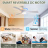 Sofucor Whisper 52 Inch Flush Mount Smart Dc Ceiling Fan With Light And ...