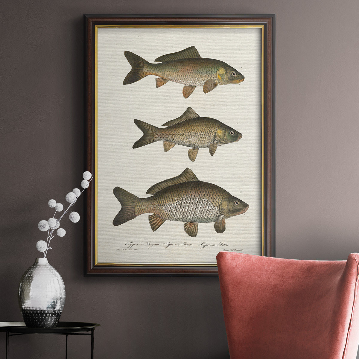 Rosecliff Heights Species of Antique Fish I - Picture Frame Painting on ...