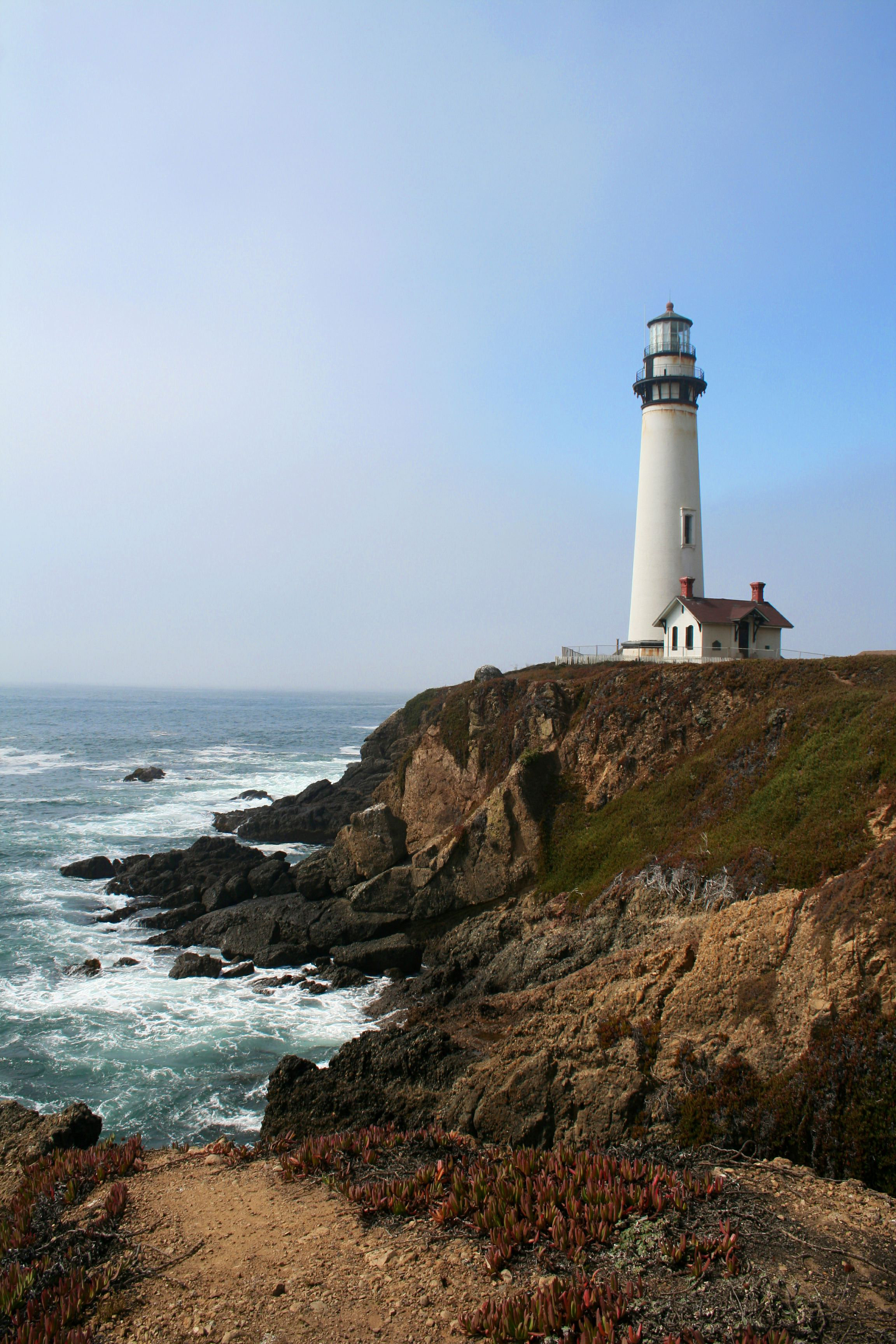 Breakwater Bay Maineville Pigeon Point Lighthouse - Wrapped Canvas ...