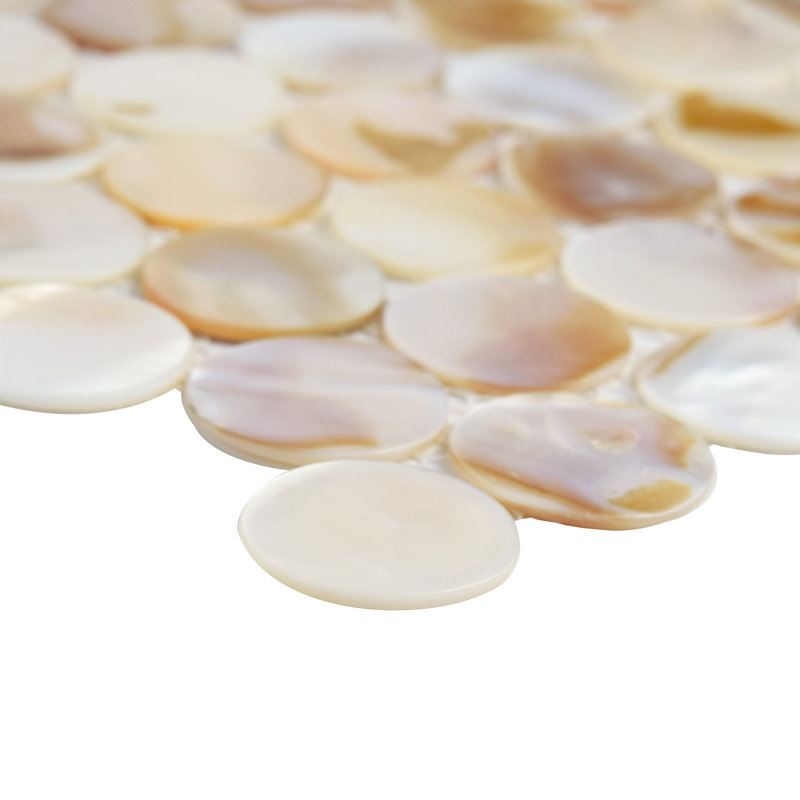 Merola Tile Conchella Penny Natural 11-1/4" x 11-5/8" Natural Shell ...