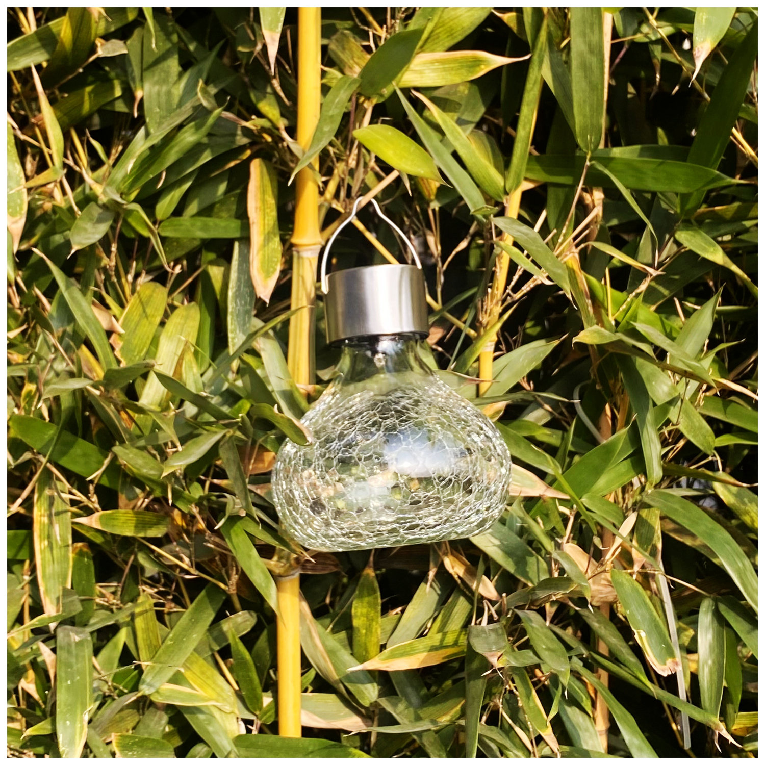 EZ MKD Outdoor Cracked Glass Solar Lantern & Reviews | Wayfair