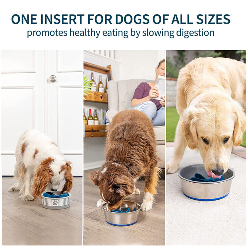 Our Pets Dog Cat Slow Feeder Bowl Insert "& Reviews" | Wayfair