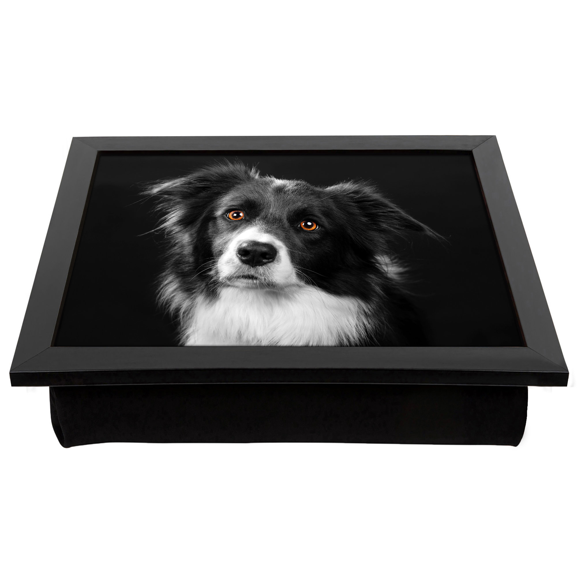 17 Stories Border Collie Dog 2 Art Lap Tray with Cushion | Wayfair.co.uk