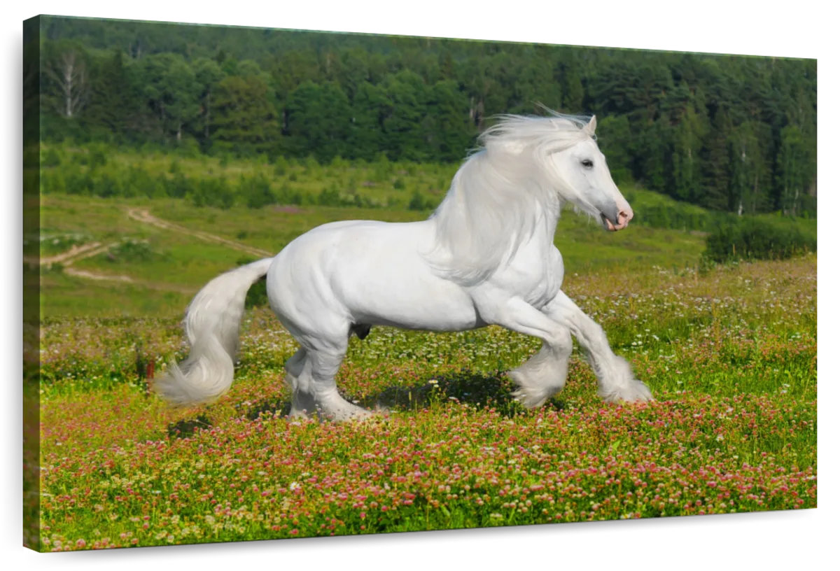 Laurel Foundry Modern Farmhouse Shire Horse In The Meadow - Wayfair Canada